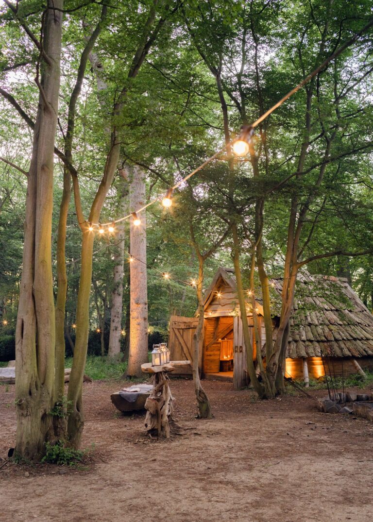 Woodland Party, Wilderness Reserve - Pocketful Of Dreams